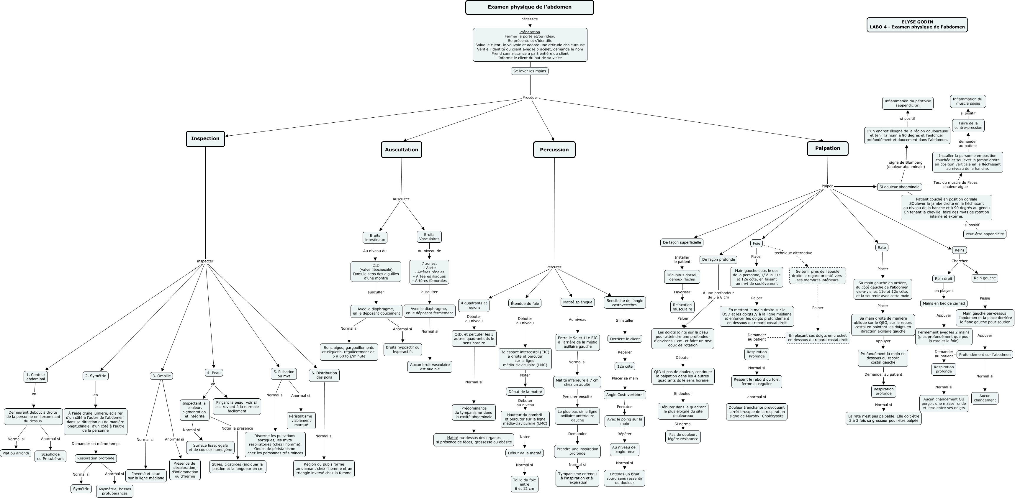 LABO 4 - Examen physique de l'abdomen - Carte de concepts